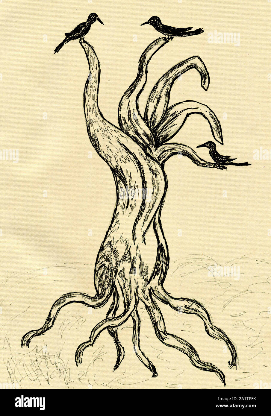 Grunge sketch of a stylized dead tree, hand drawn illustration Stock ...