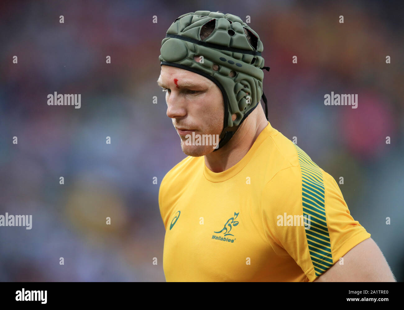 Australia's David Pocock with a small injury before the 2019 Rugby ...