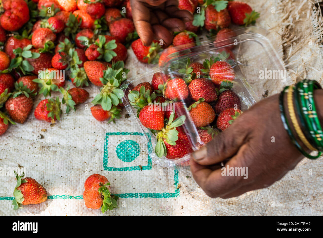 Farmer goa india hi-res stock photography and images - Alamy