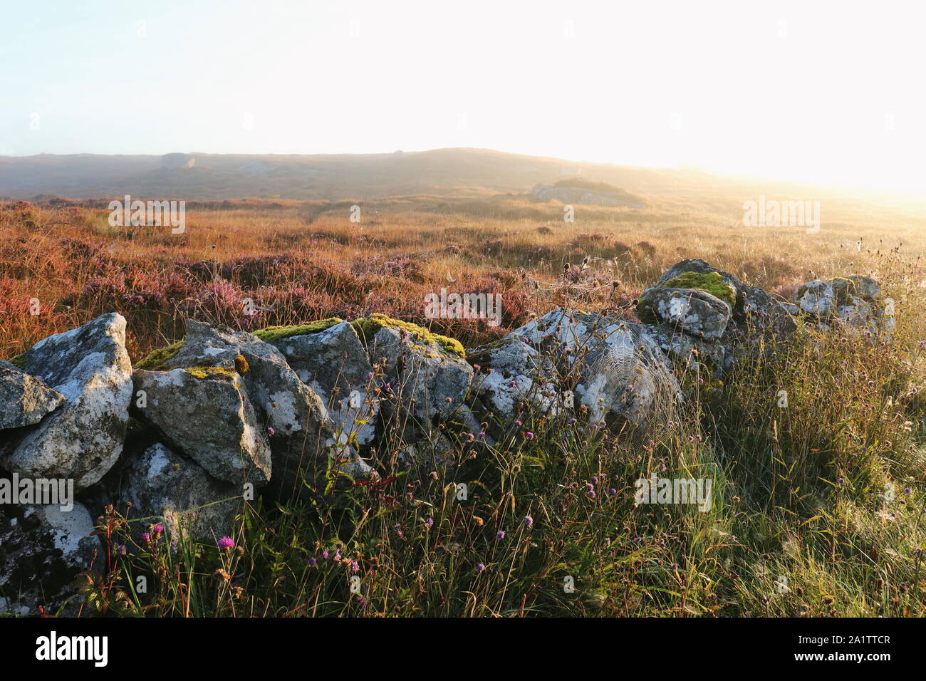 Irish landscapes hi-res stock photography and images - Alamy