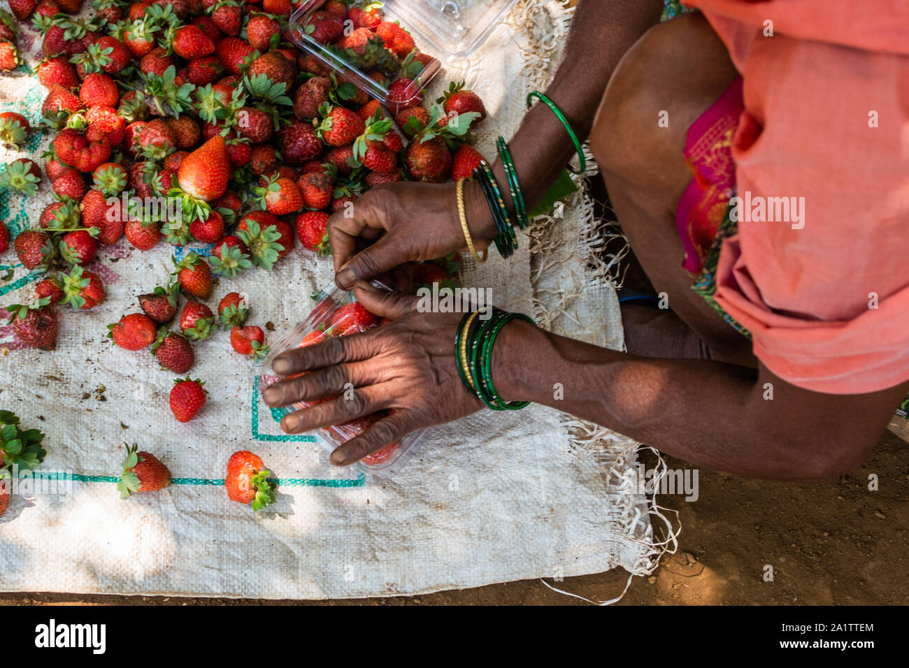 Farmer Goa India High Resolution Stock Photography and Images - Alamy