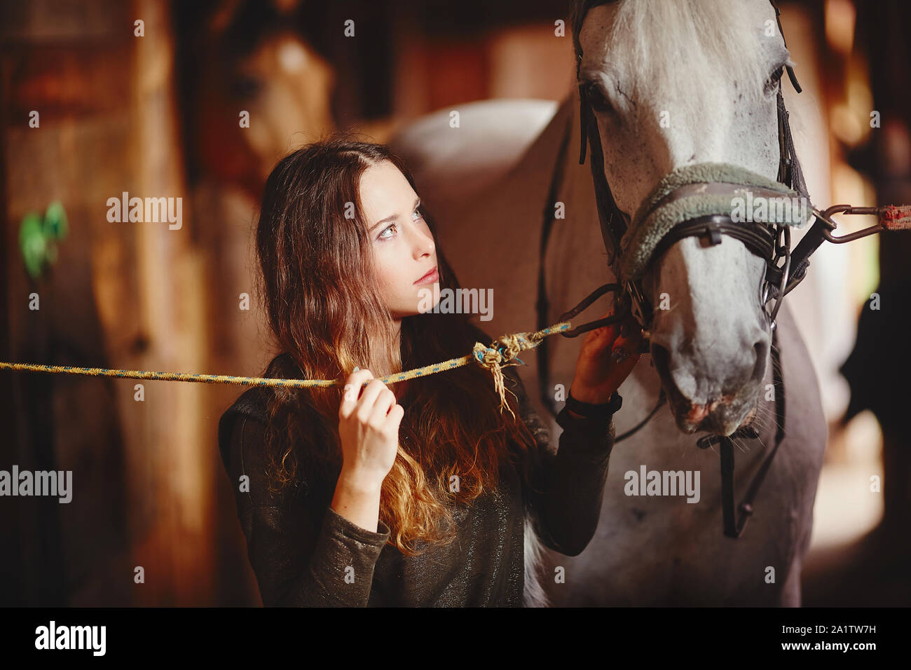 Portrait of a young girl in a village stables with a horse. Dressed in ...