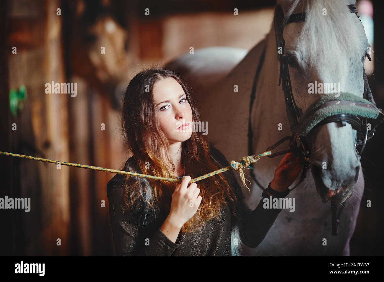 Portrait of a young girl in a village stables with a horse. Dressed in ...