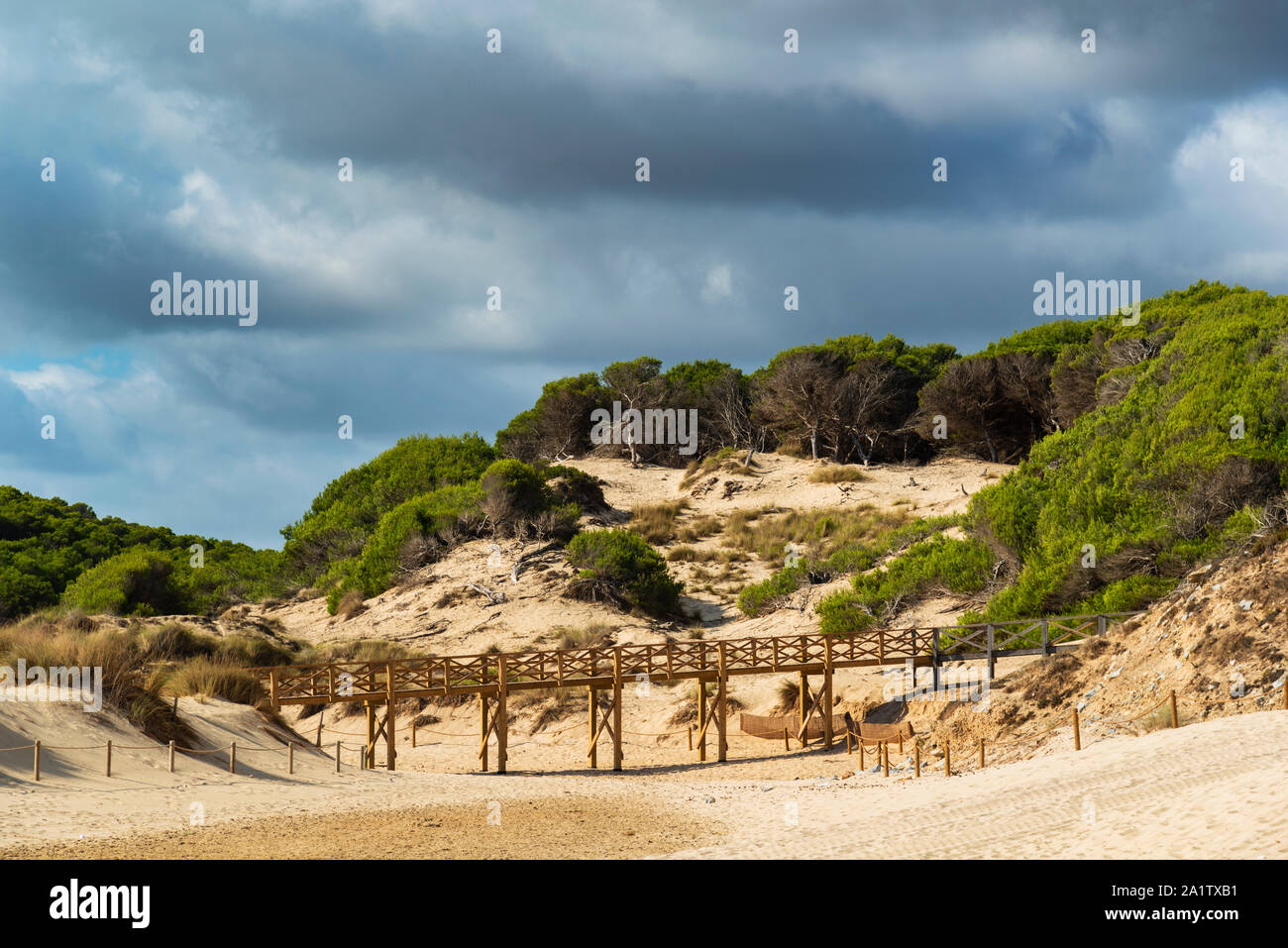 Regeneration reserve of sand dunes on the beach of Cala Mesquida ...