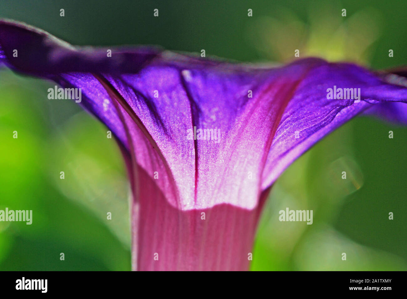 Blaue winde hi-res stock photography and images - Alamy