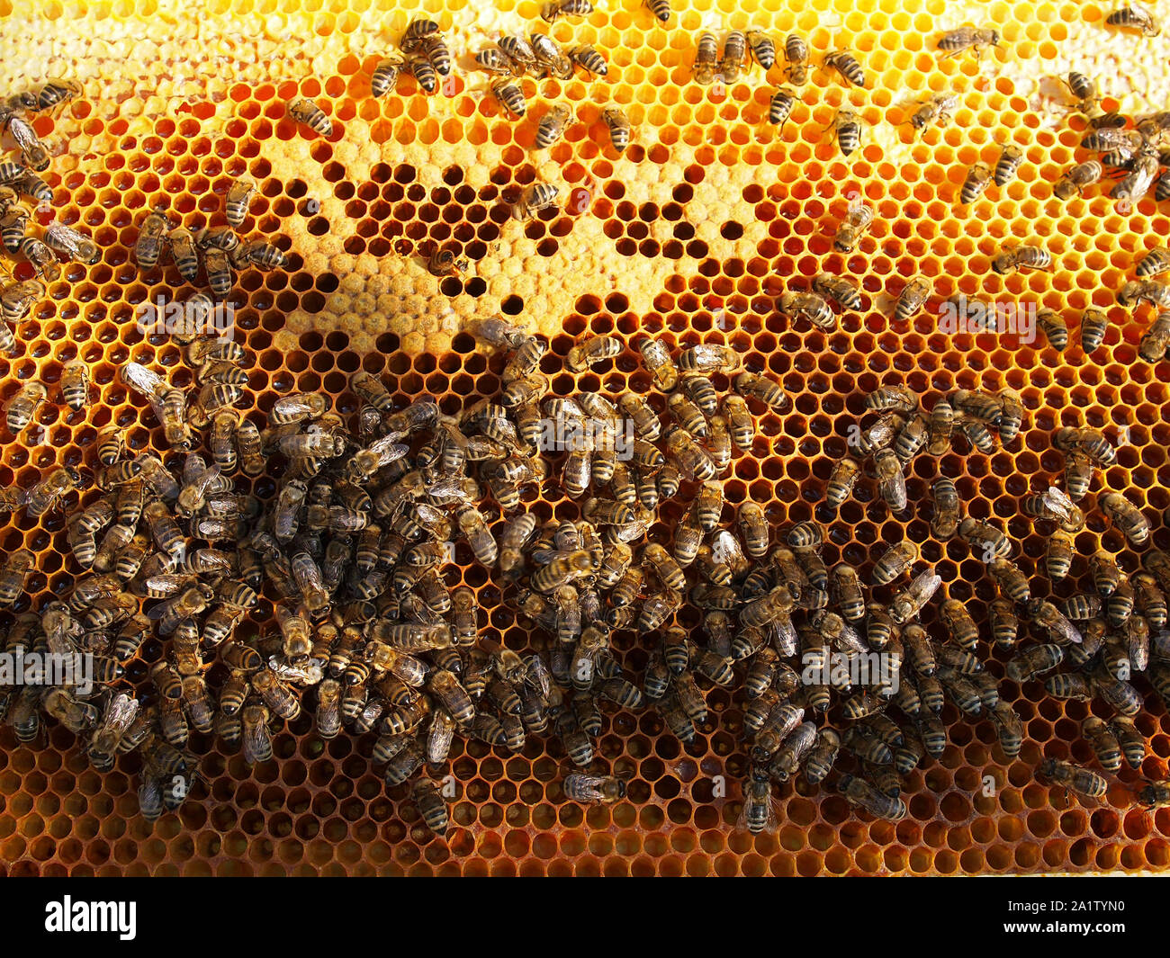 Straw Hive High Resolution Stock Photography and Images - Alamy