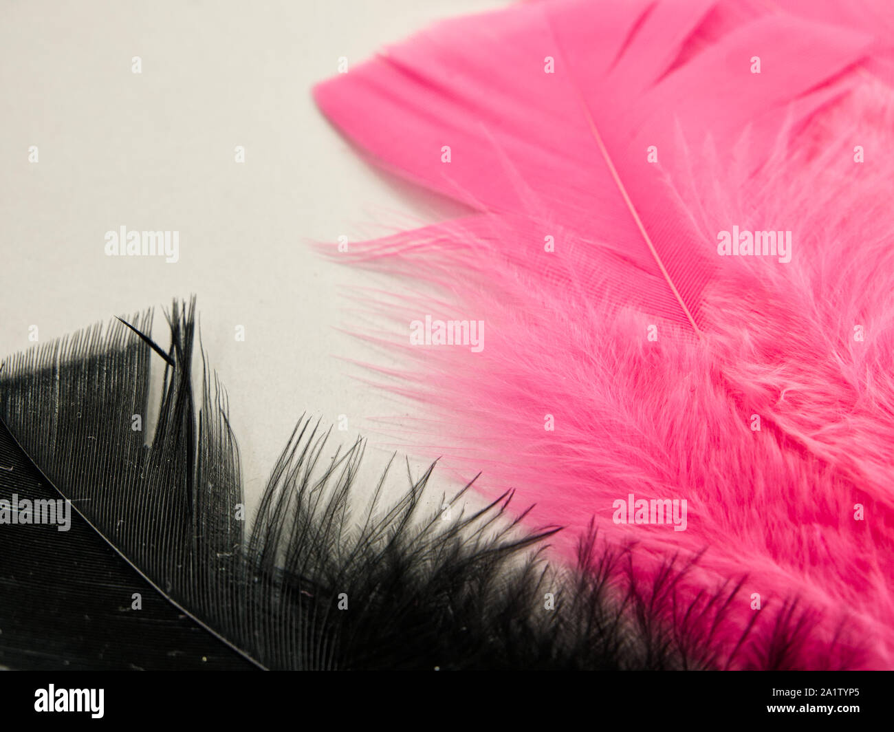 Red feather boa hi-res stock photography and images - Alamy