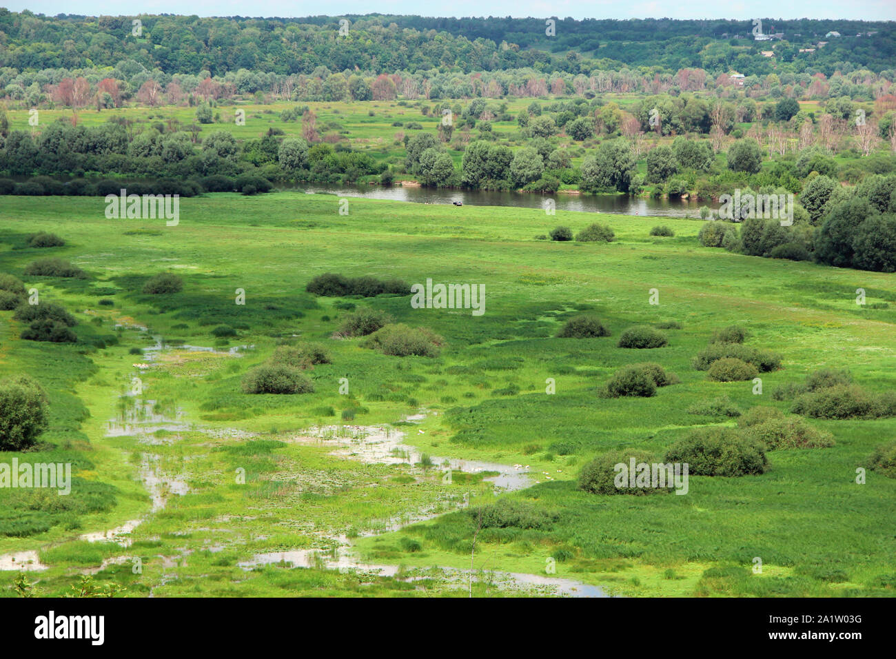 Panoramic landscape. Beautiful landscape on river and swamp from bird's ...