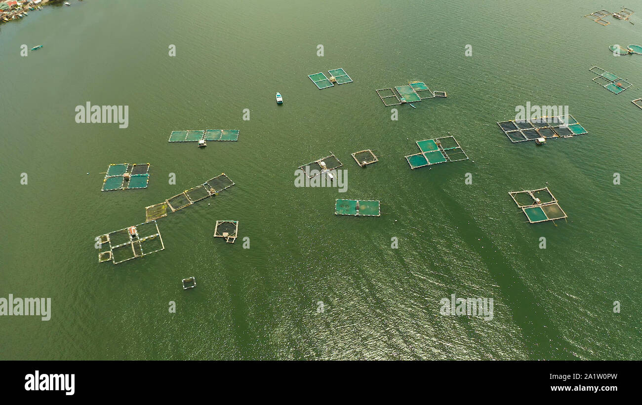 Aerial view of fish farm with cages for fish and shrimp on the lake ...