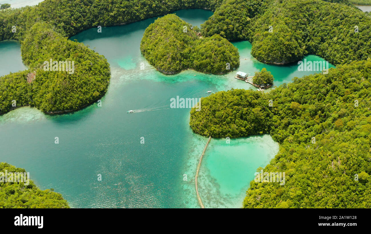 Island Lagoon Of A Rainforest Fiji Reef And Rainforest