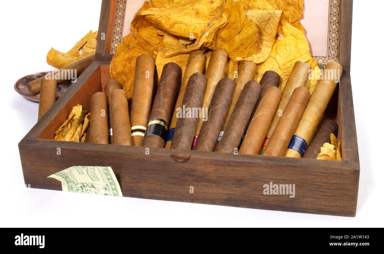 Cigars in a Box on white Background Stock Photo - Alamy