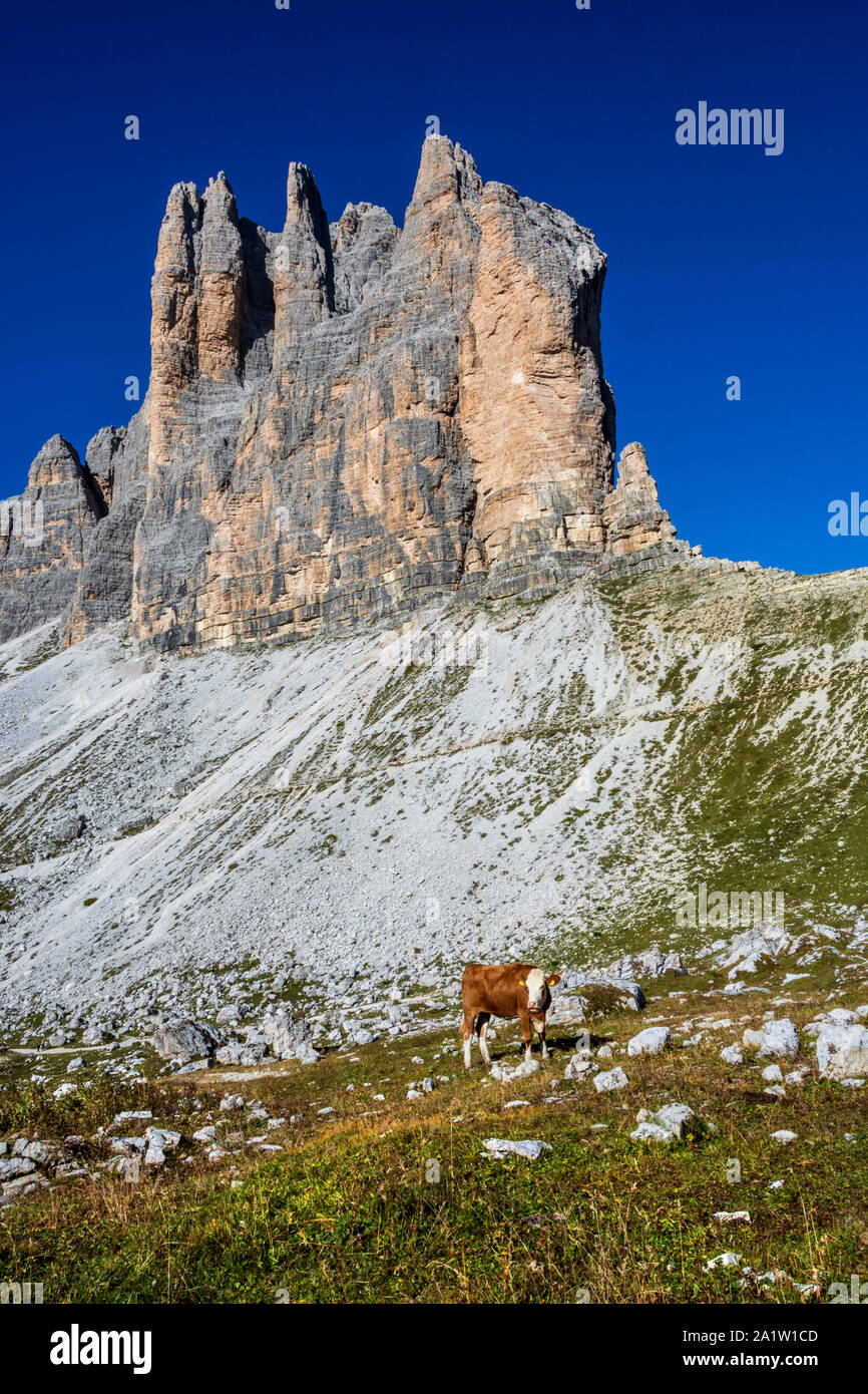 drei zinnen peaks in the dolomite mountains Stock Photo - Alamy