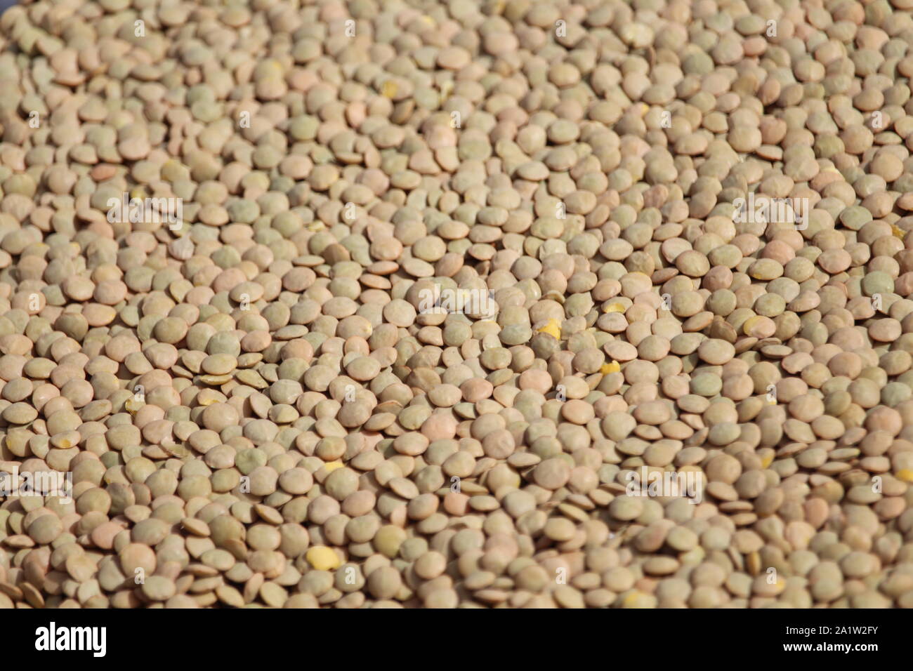 Extraordinary beautiful hi-res stock photography and images - Alamy