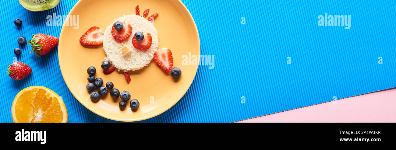 top view of plate with fancy animal made of food on blue and pink ...