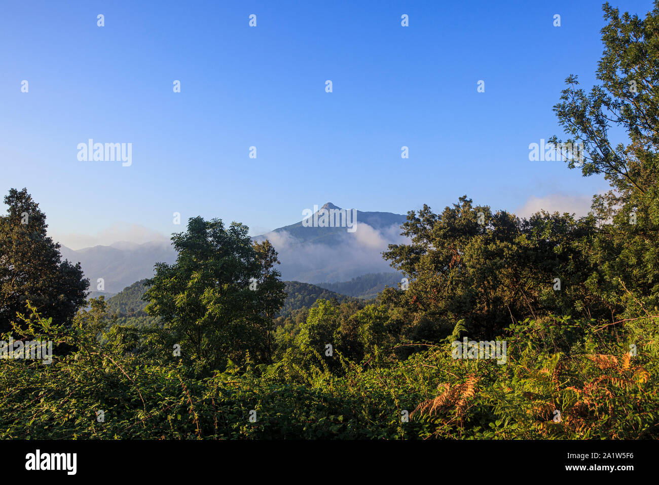 Foggy Mountain landscape on a blue sunny sky morning in Catalonia ...