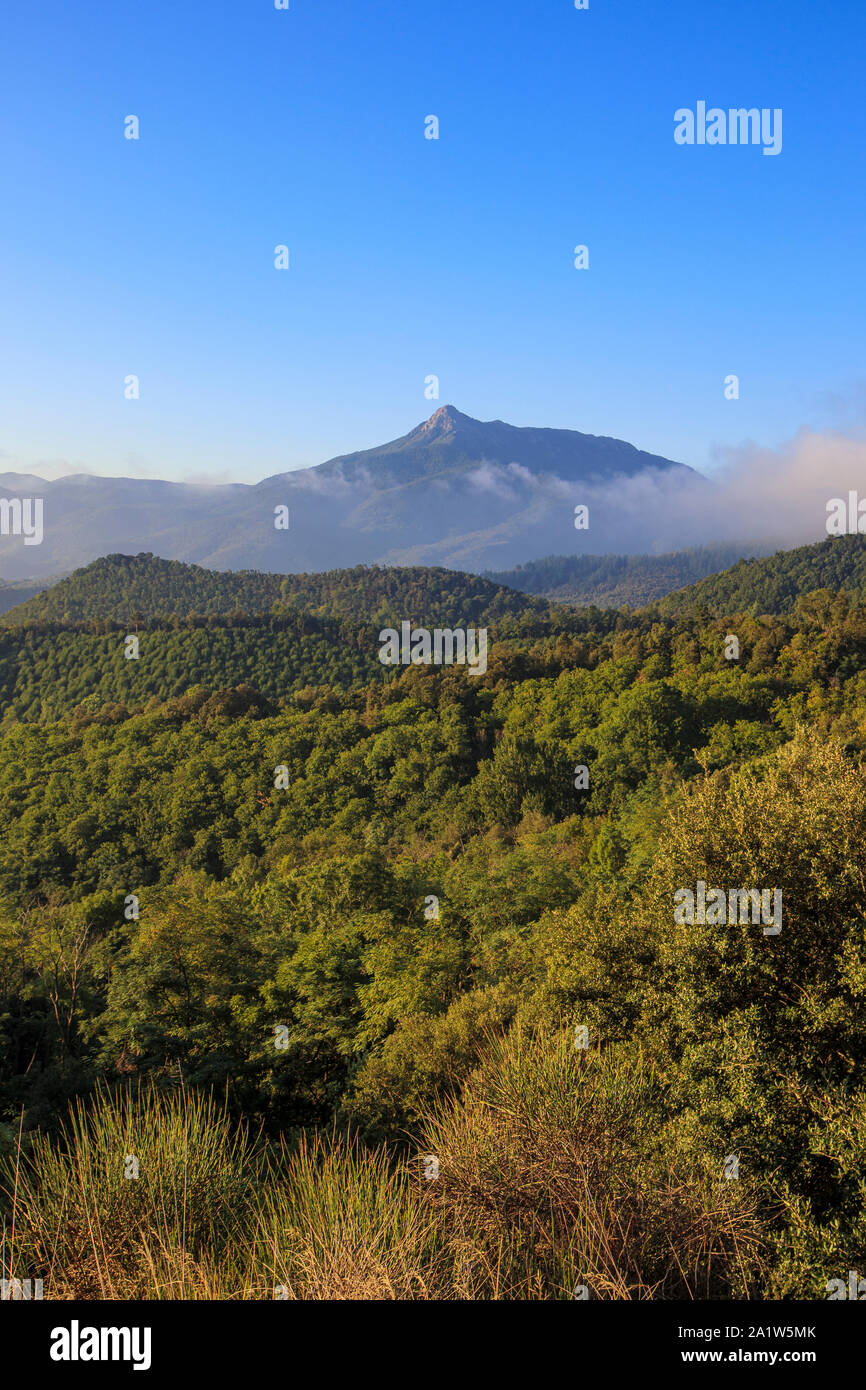 Blue sky and fog hi-res stock photography and images - Alamy