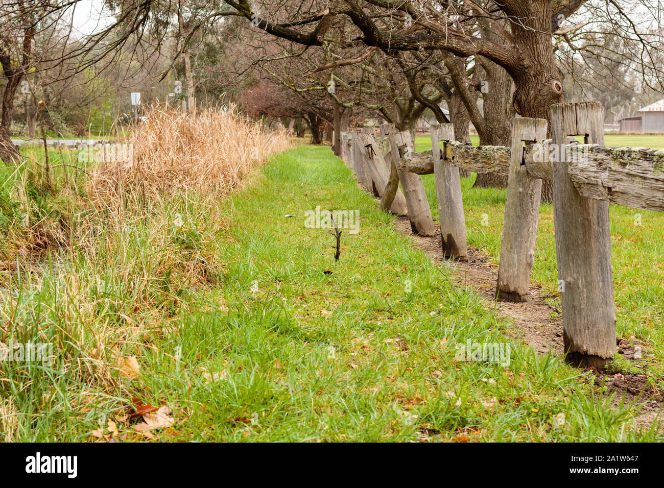 An old fence line around Hall Showgrounds on a wet spring afternoon at ...