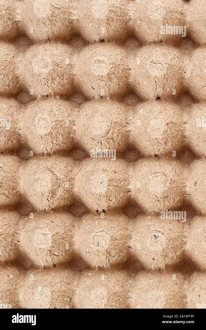 Texture cardboard egg. Top view of egg shell packaging. Empty packaging ...