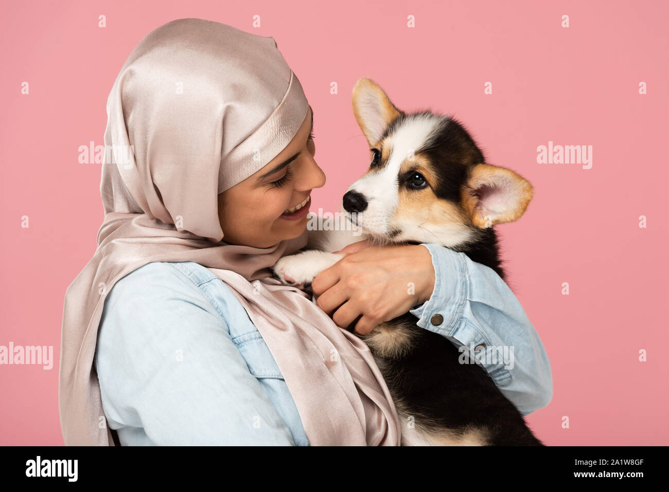 beautiful muslim girl in hijab holding Welsh Corgi puppy, isolated on ...