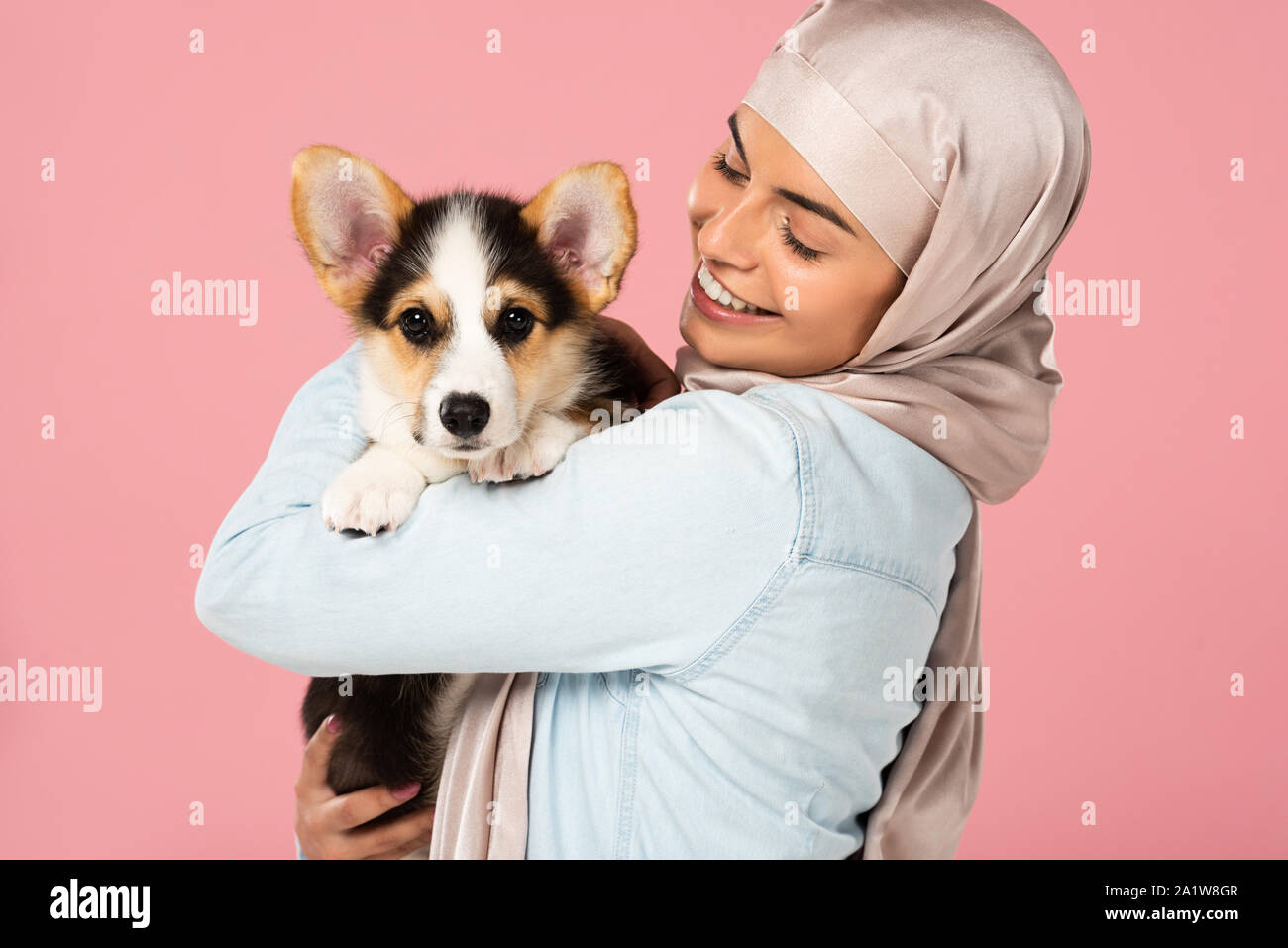 muslim woman in hijab holding Welsh Corgi puppy, isolated on pink Stock ...
