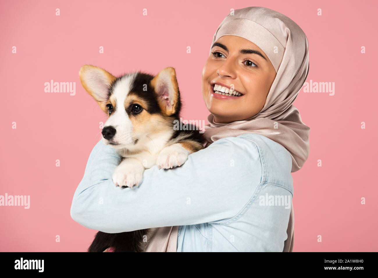 beautiful smiling arabic woman in hijab holding Welsh Corgi puppy ...