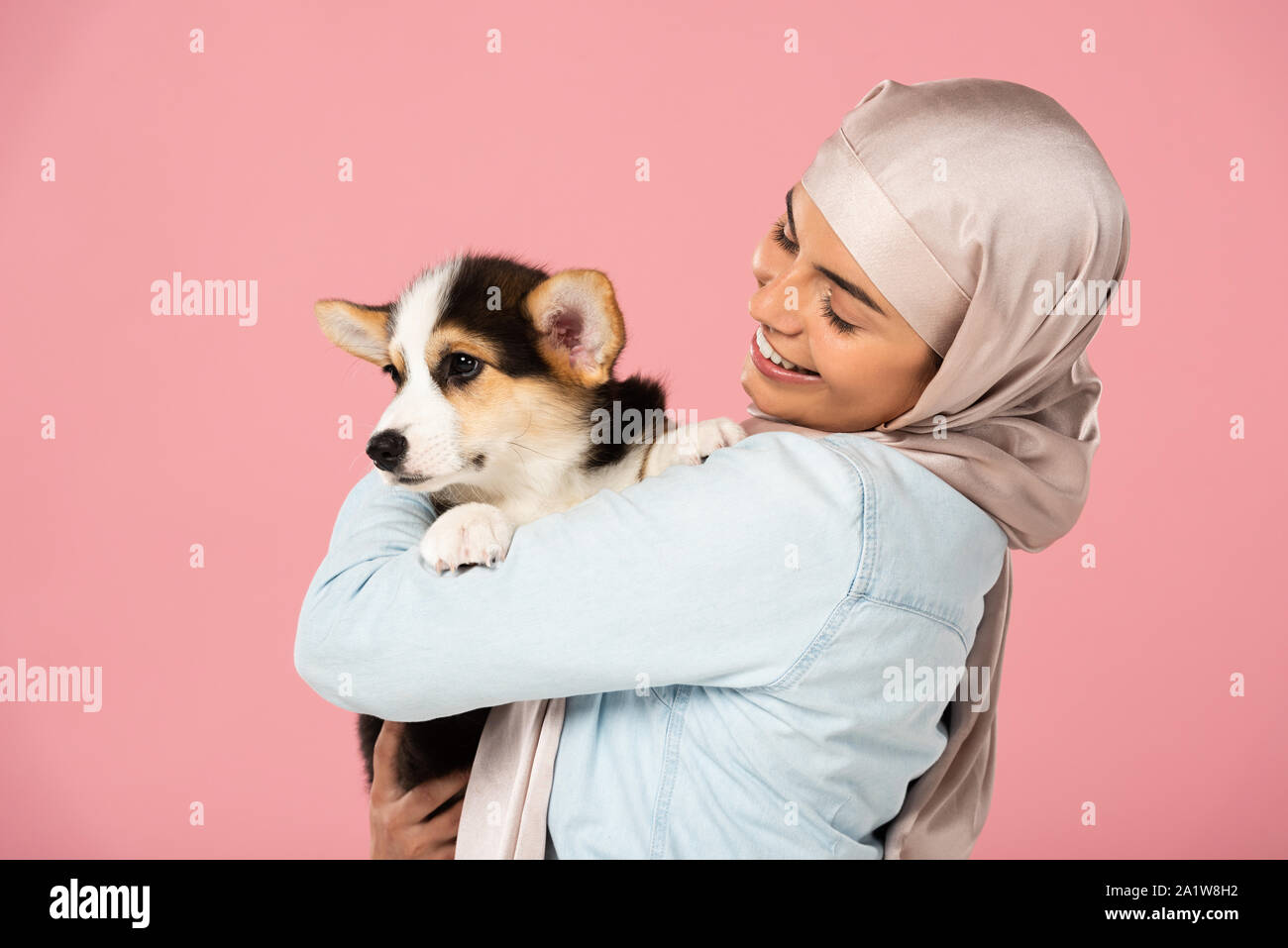 cheerful muslim girl in hijab holding Welsh Corgi dog, isolated on pink ...