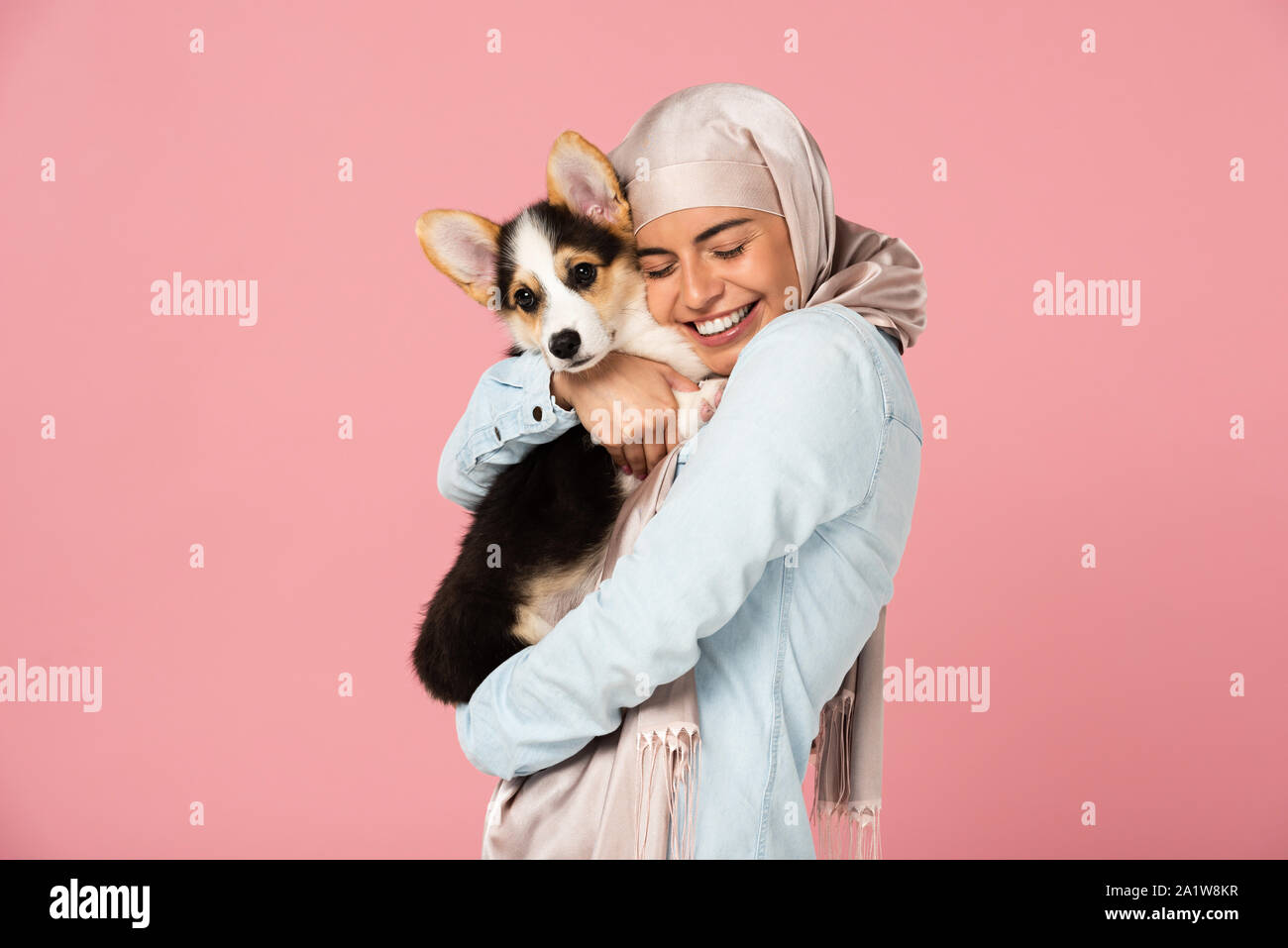 happy muslim woman in hijab holding cute Corgi puppy, isolated on pink ...