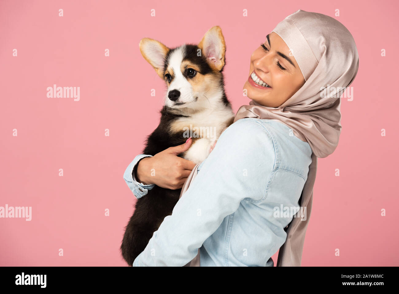 cheerful muslim woman in hijab holding Welsh Corgi puppy, isolated on ...