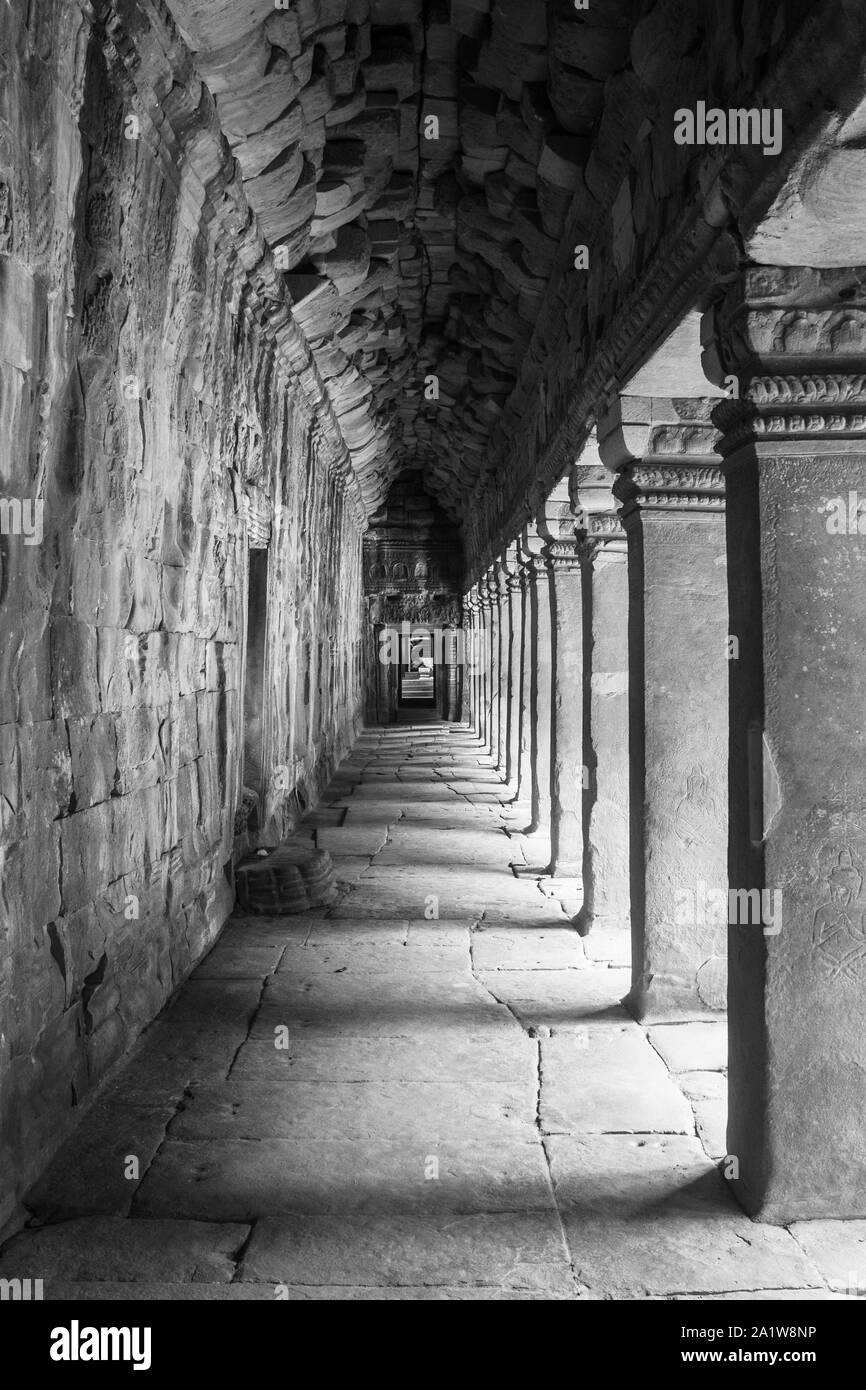 Inside ta prohm temple ruins hi-res stock photography and images - Alamy