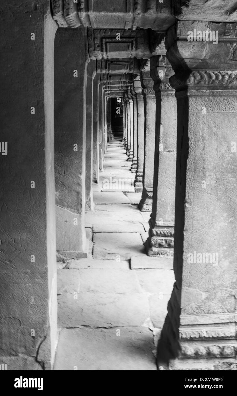 Inside Ta Prohm Temple; Cambodia Stock Photo - Alamy