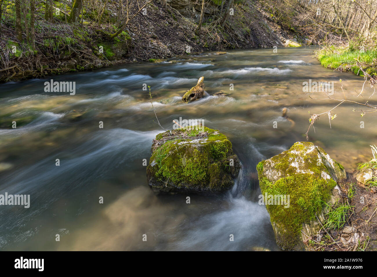 A creek in the woods during spring Stock Photo - Alamy