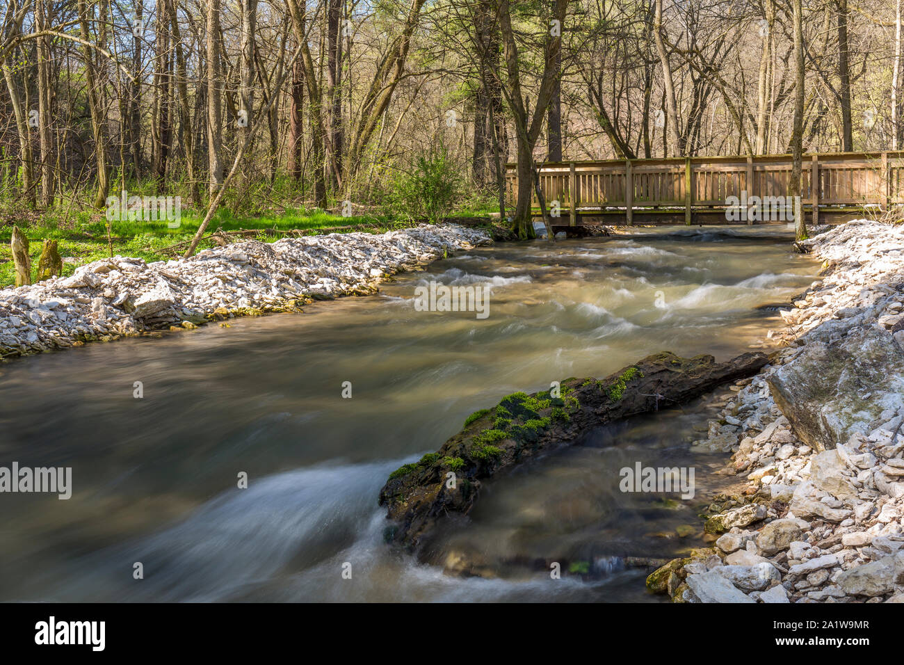 A creek in the woods during spring Stock Photo - Alamy