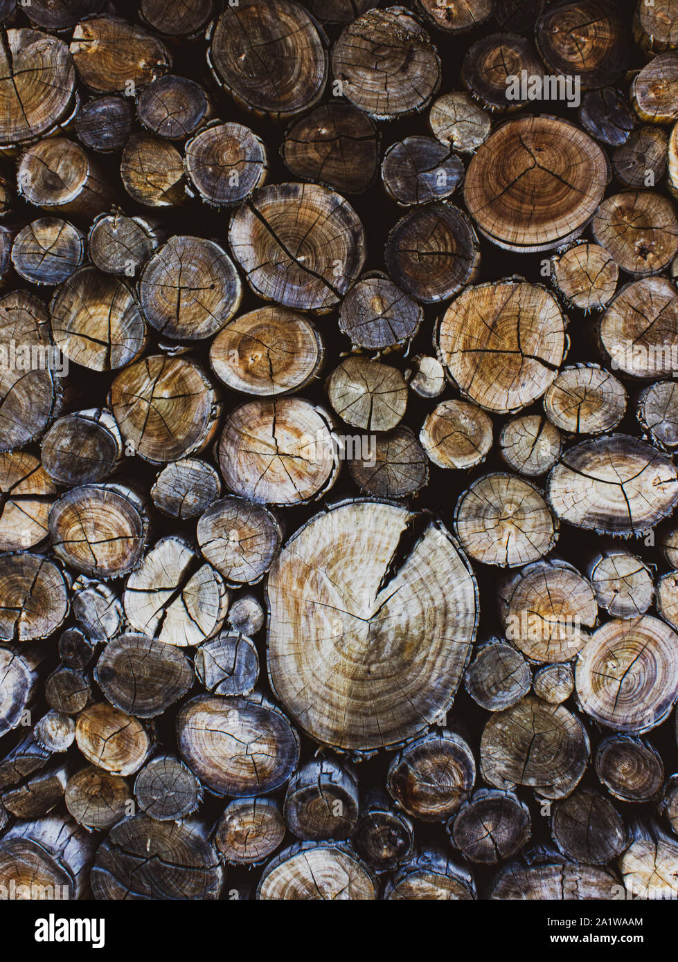 Stacked logs hi-res stock photography and images - Alamy