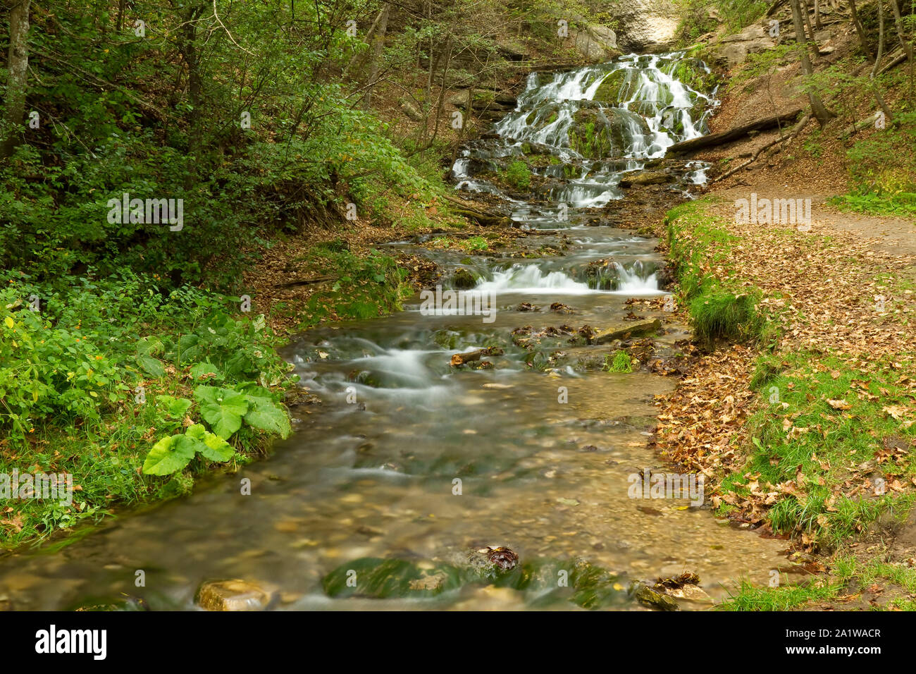 A spring fed cascading waterfall in the woods Stock Photo - Alamy