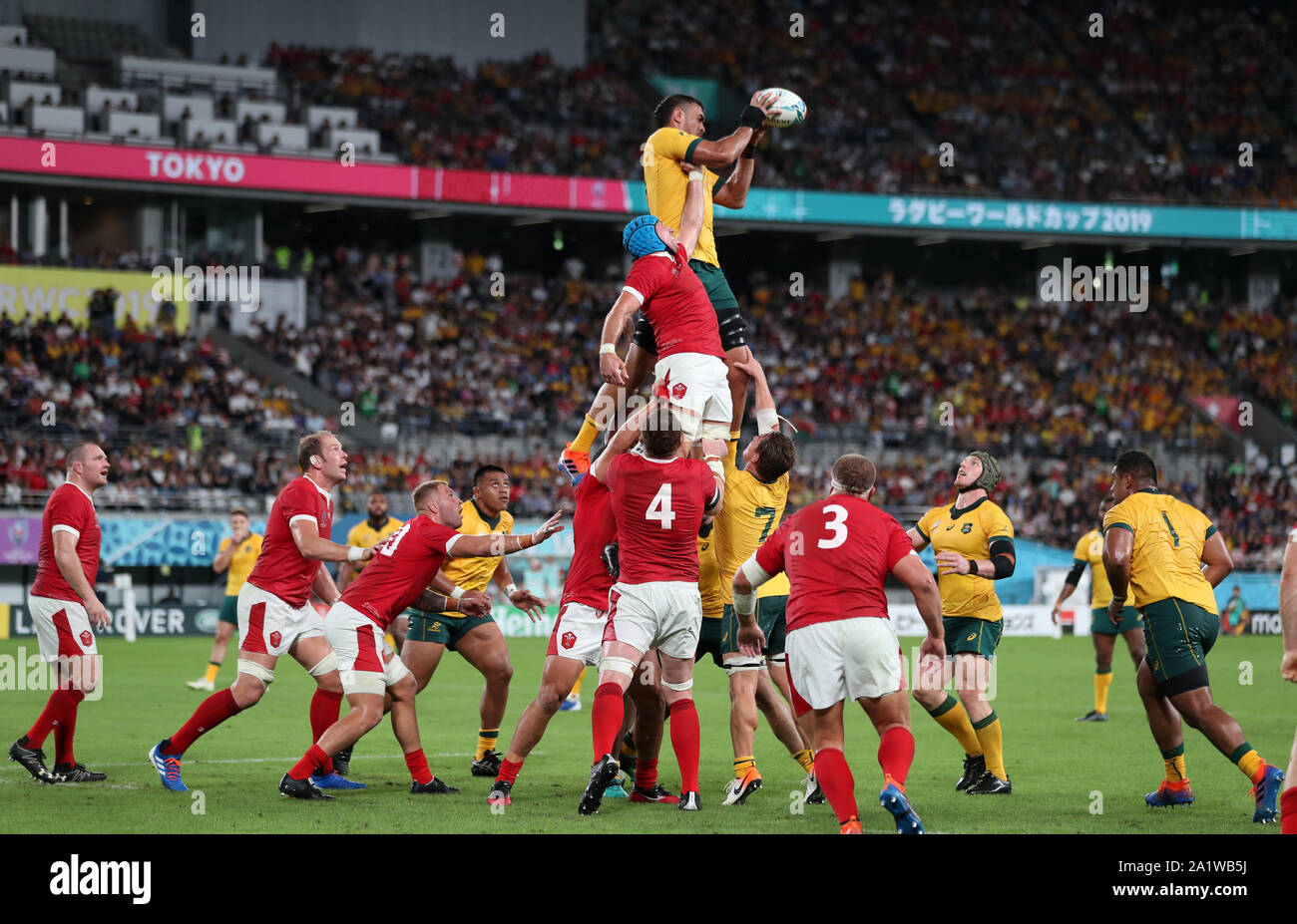 Australia's Rory Arnold wins a lineout during the 2019 Rugby World Cup ...