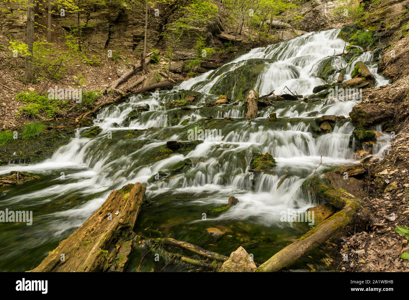 Spring fed stream hi-res stock photography and images - Alamy