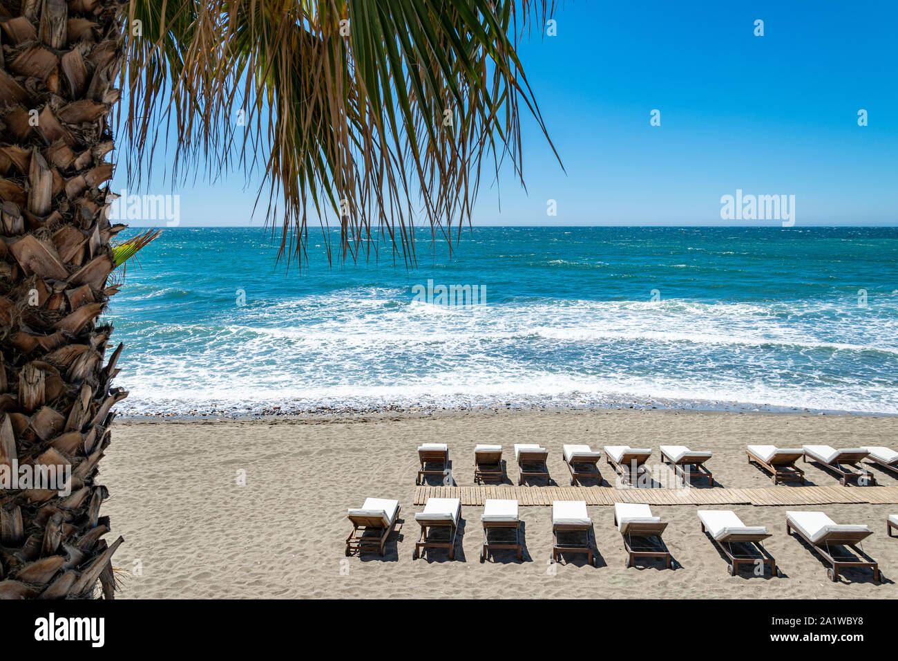 a selection of deck chairs out on a empty beach in Marbella with a palm ...