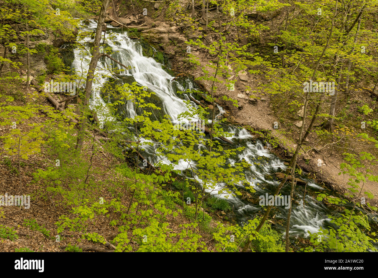 A spring fed cascading waterfall in the woods Stock Photo - Alamy