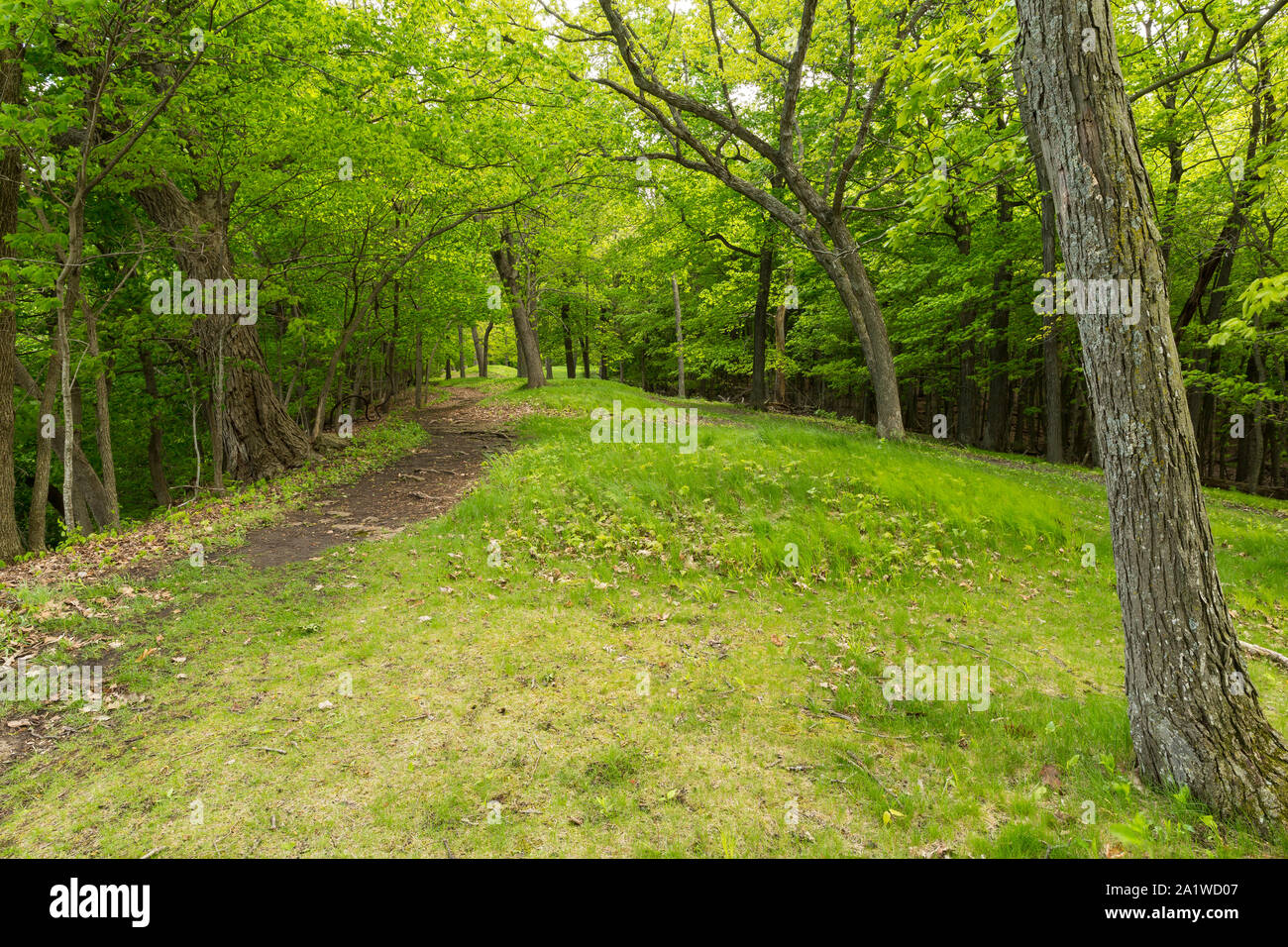 Native american burial mound hi-res stock photography and images - Alamy