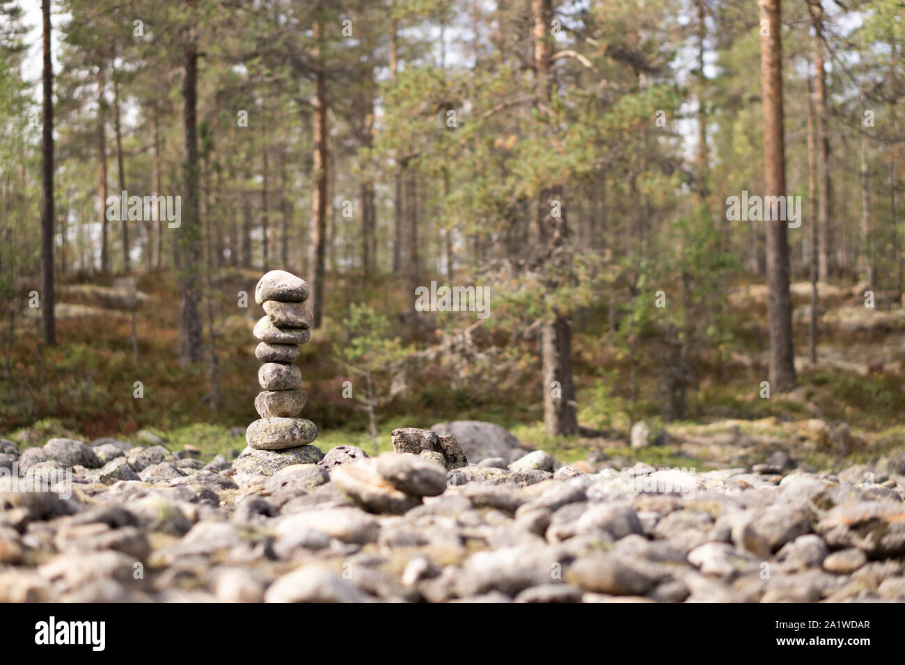 rock balansing in a field of rocks, a remnant from the iceage. in ...