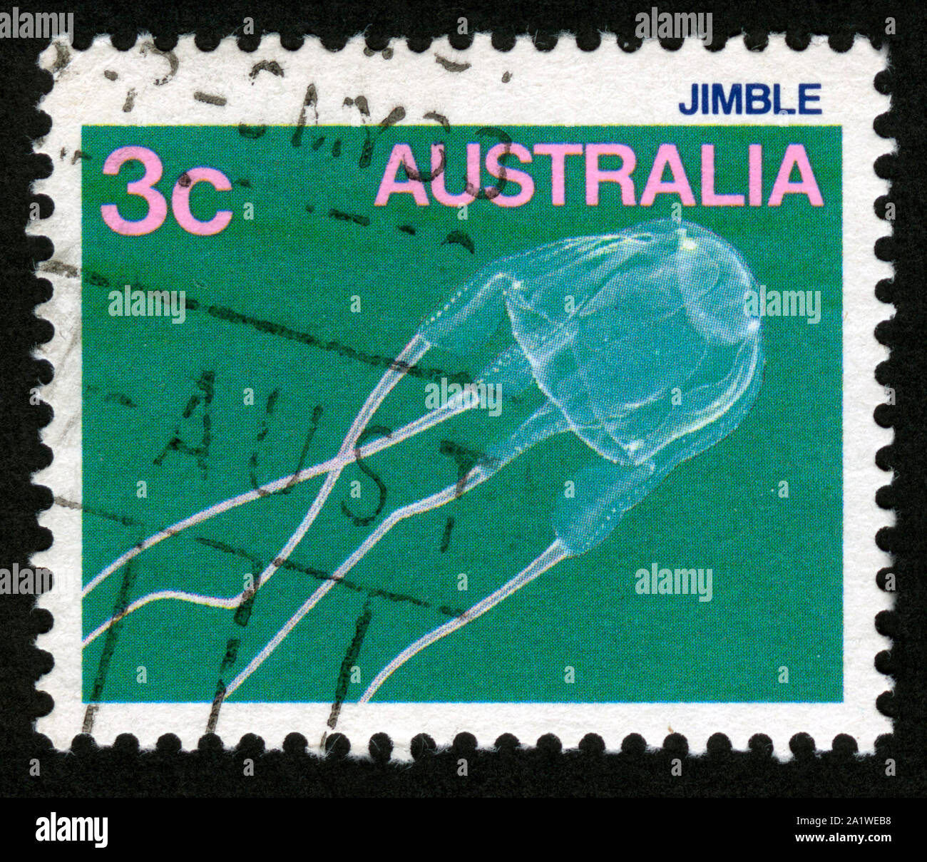 Jimble jellyfish hi-res stock photography and images - Alamy