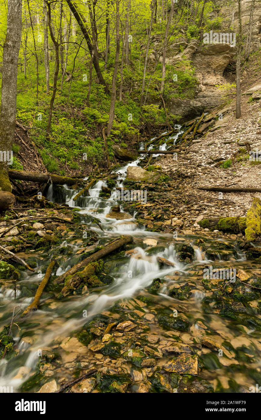A spring fed waterfall in the woods Stock Photo - Alamy