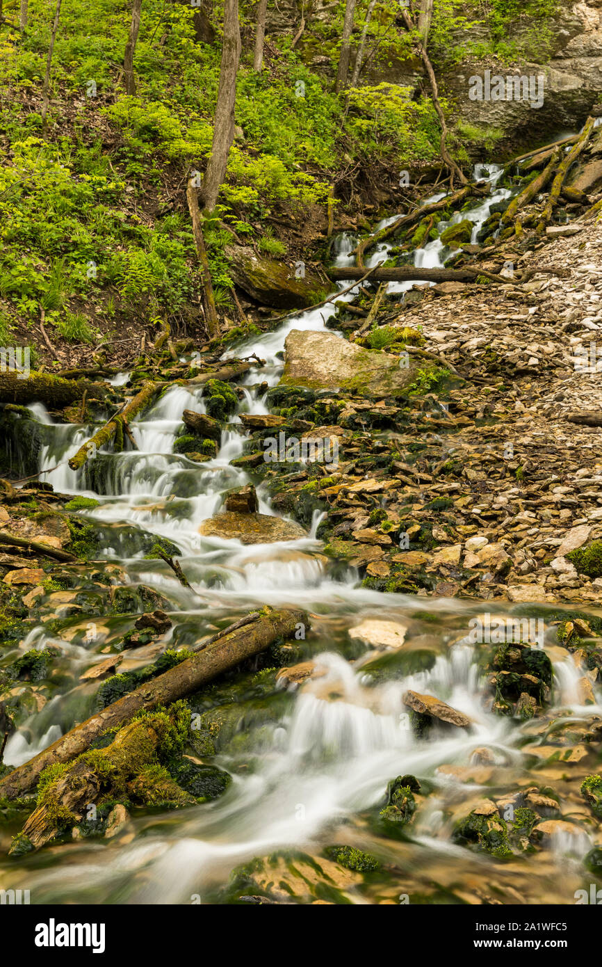 A spring fed waterfall in the woods Stock Photo - Alamy