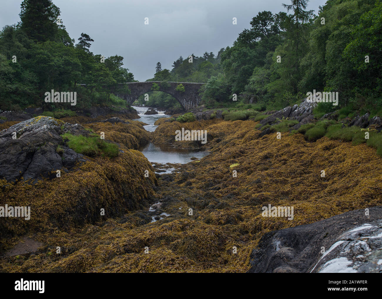 Ardtornish morvern hi-res stock photography and images - Alamy