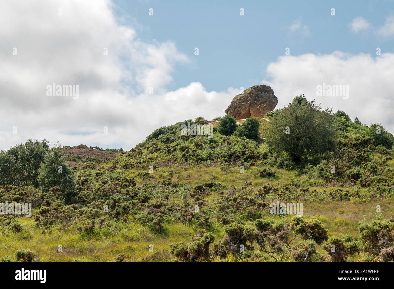 Anglestone, Studland, Dorset Stock Photo - Alamy