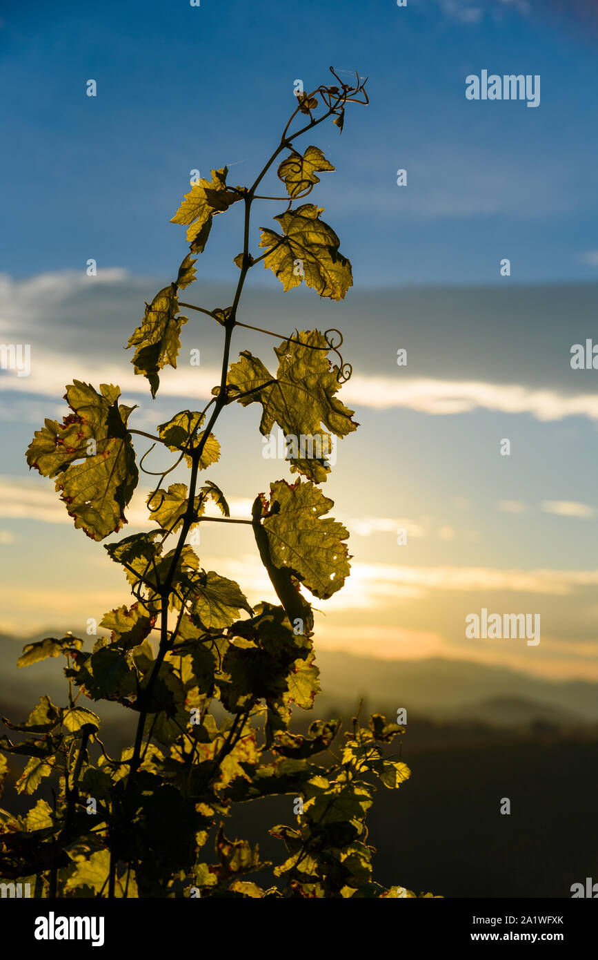 Autumn in southern styria tourist spot Stock Photo - Alamy