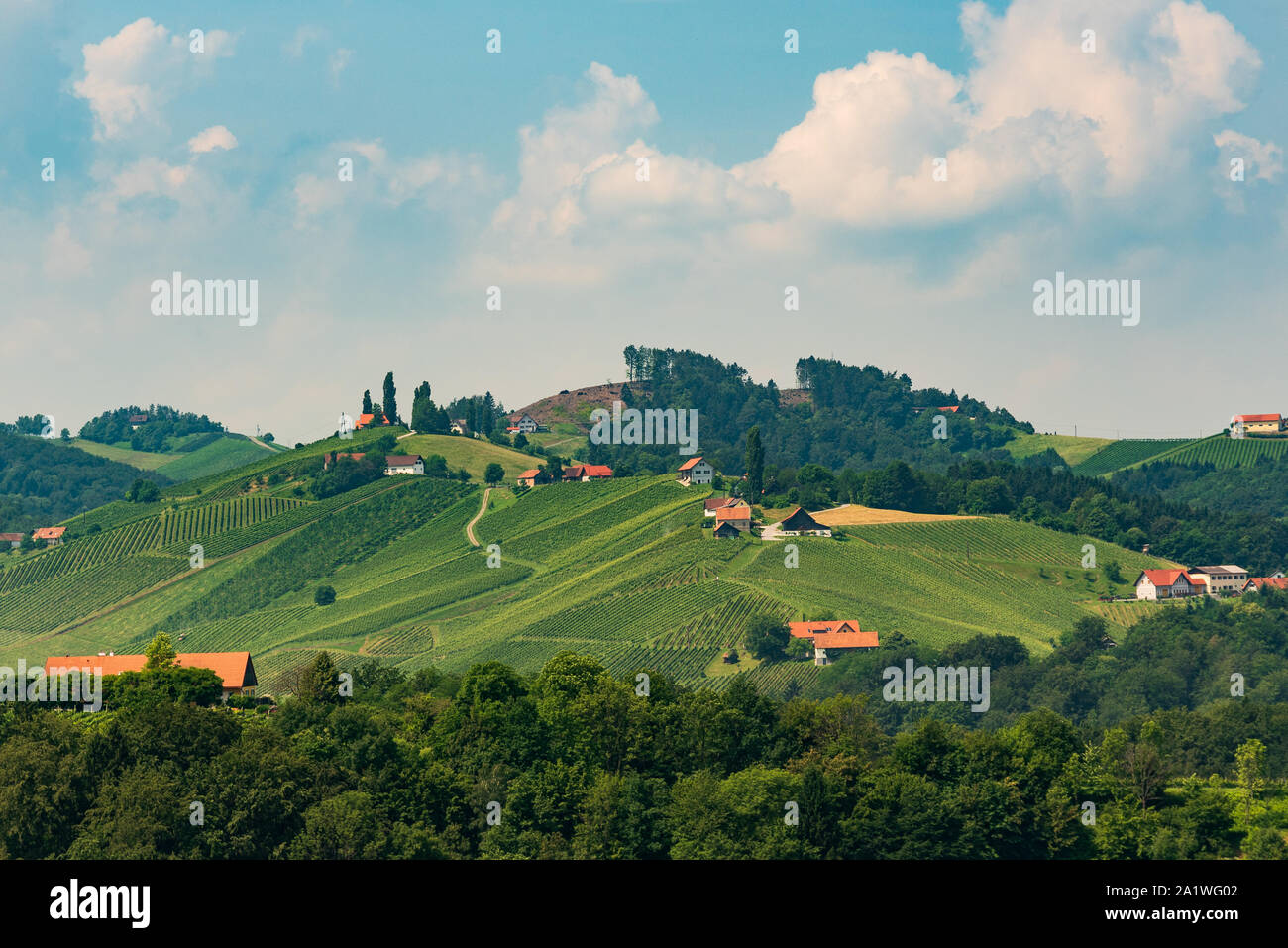 Austria Vineyards Leibnitz area south Styria travel spot Stock Photo ...