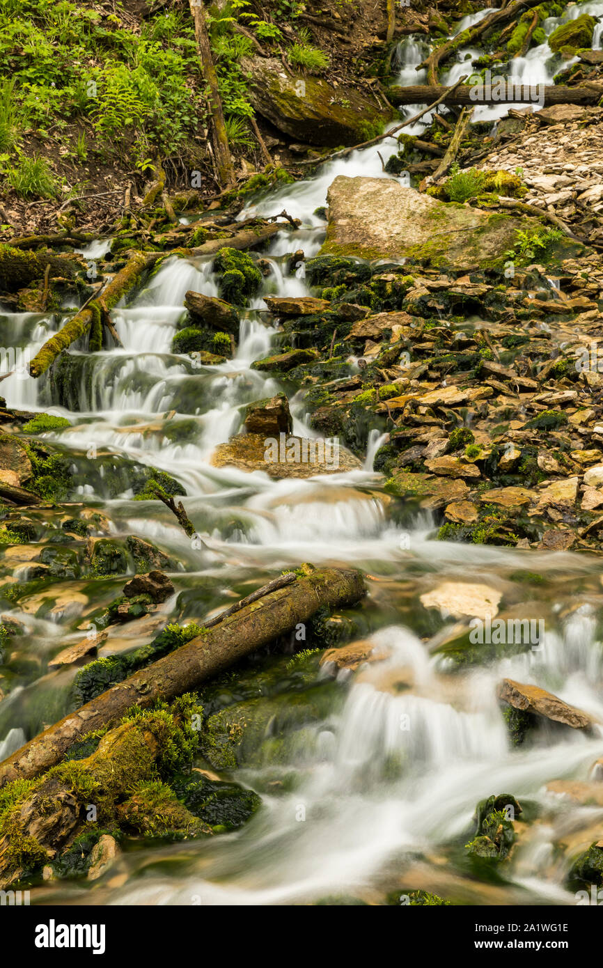 Spring fed creek hi-res stock photography and images - Alamy