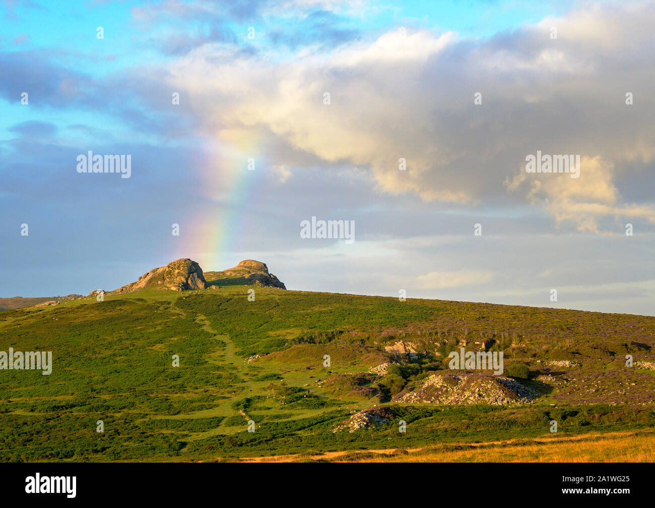 Rainbow over Haytor, Dartmoor, Devon Stock Photo - Alamy