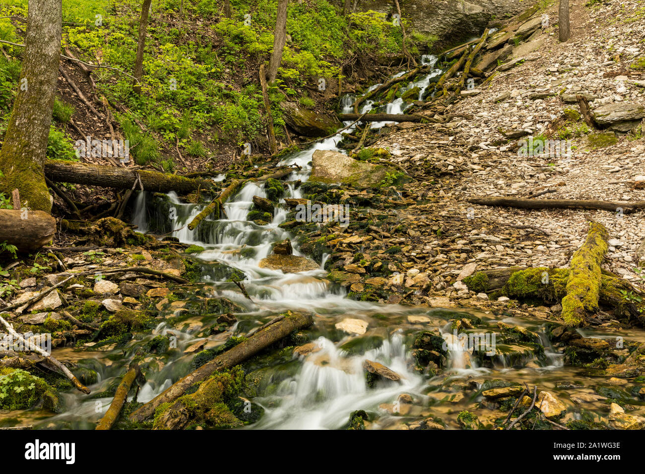 Spring fed creek hi-res stock photography and images - Alamy